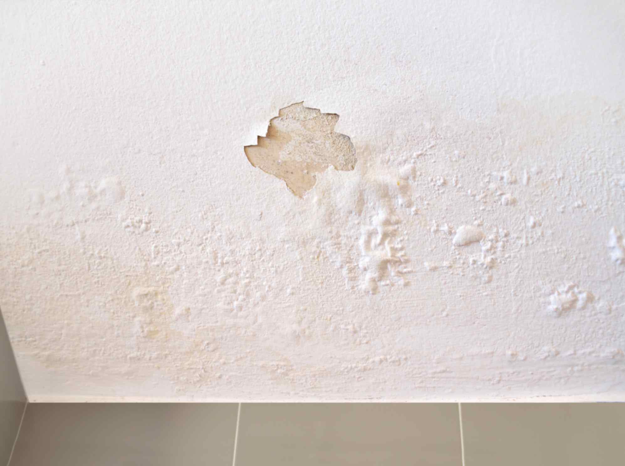 What to Look Out For: Warning Signs of Leaking Roof - Bulldog Builders